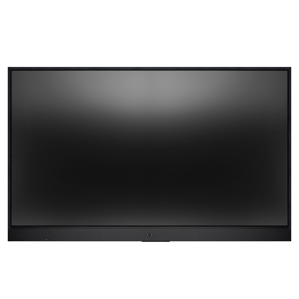 55" PVM w/ IP Camera - Clinton Electronics